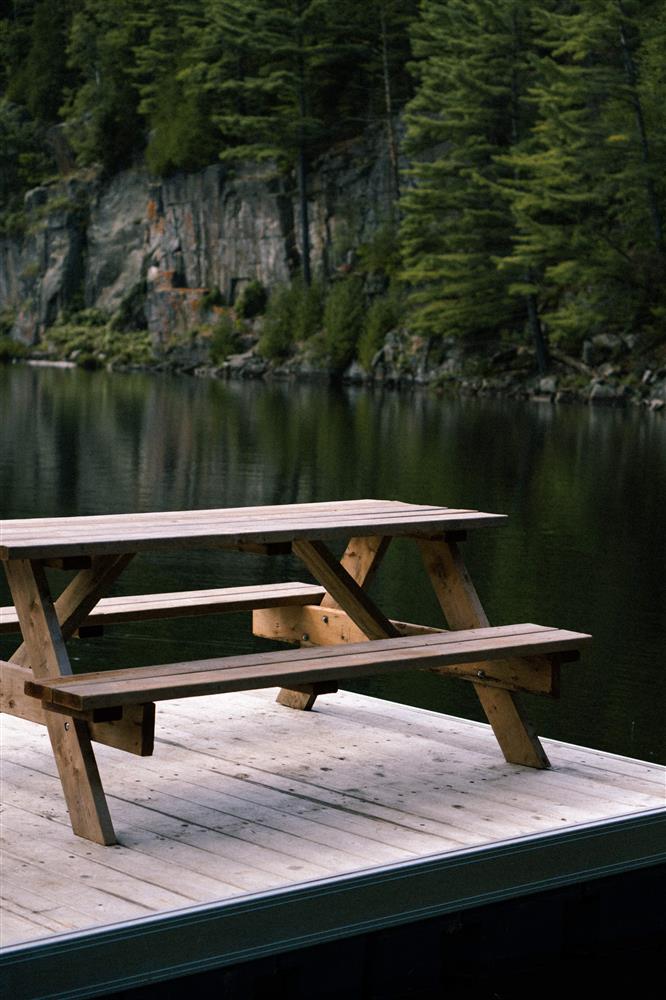 Maintenance Tips For Keeping Your Wooden Picnic Tables In Top Shape ...
